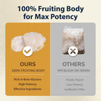 lion's mane mushrooms for wellness