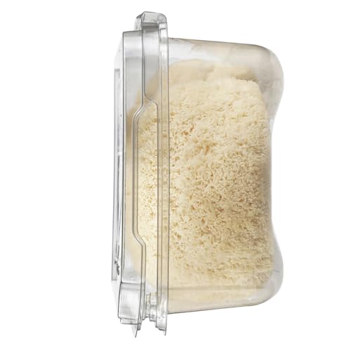 lion's mane mushrooms in plant-based recipes
