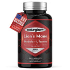 Lion's Mane nootropic for focus