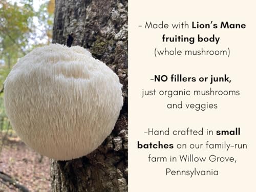 lion's mane powder for cognitive support