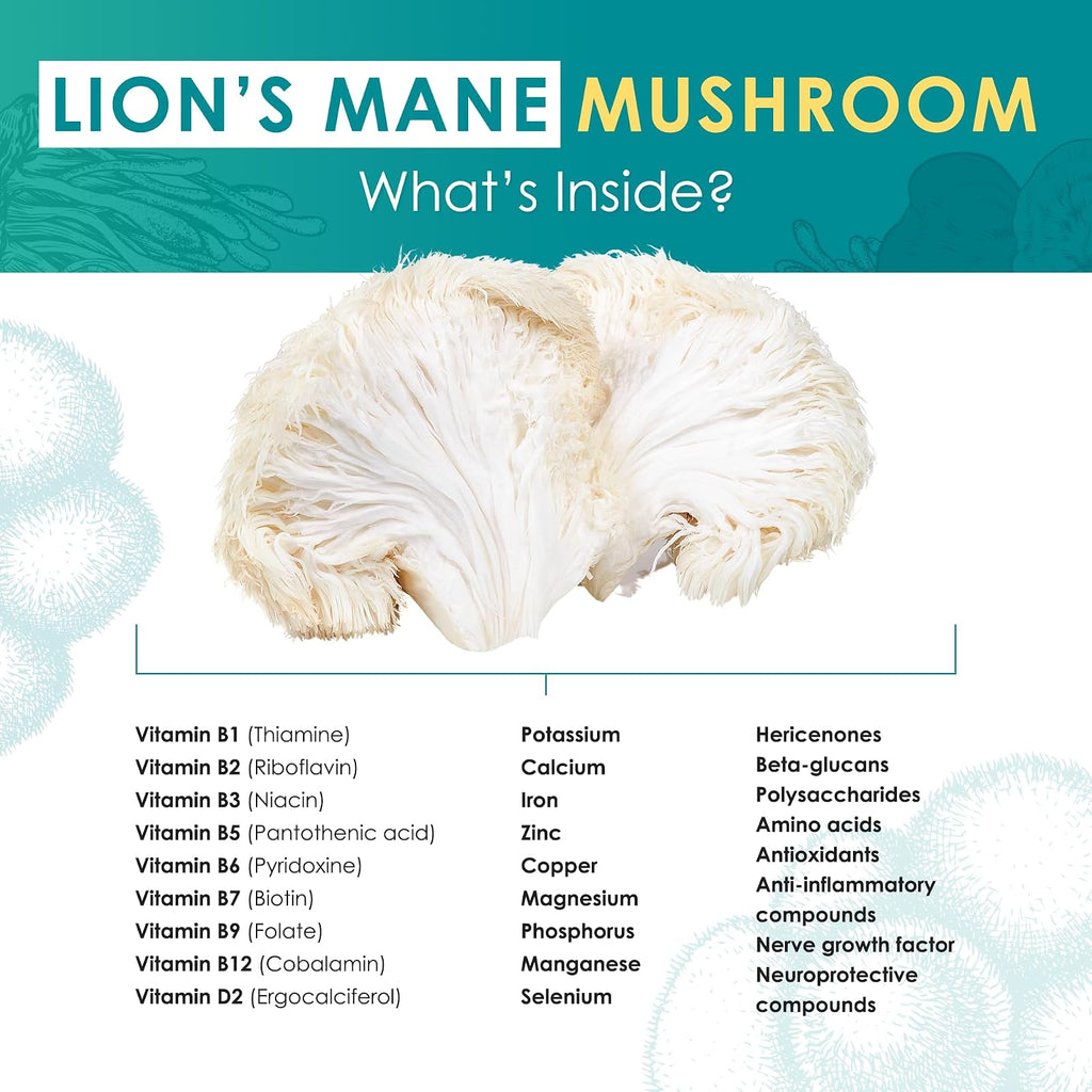 lion's mane powder for cognitive support