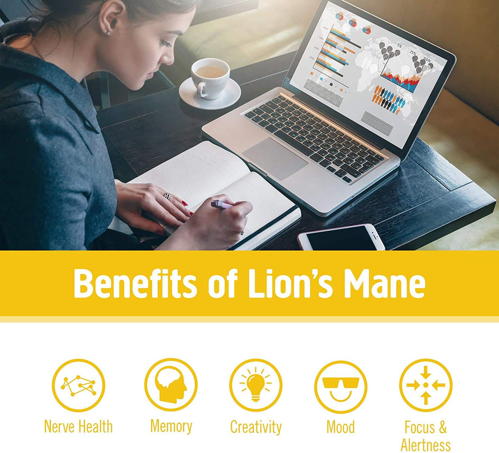 Lion's Mane powder for cognitive support