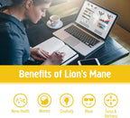 Lion's Mane powder for cognitive support