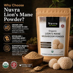 Lion's Mane powder for cognitive support