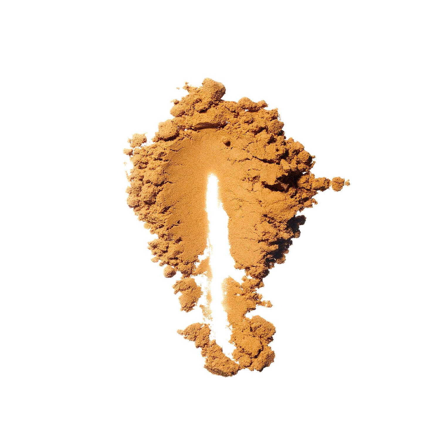 Lion's Mane powder for daily wellness