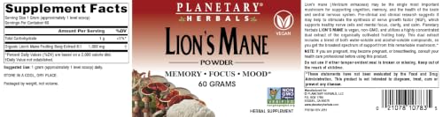 Lion's Mane powder for daily wellness