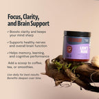 lion's mane powder for energy boost