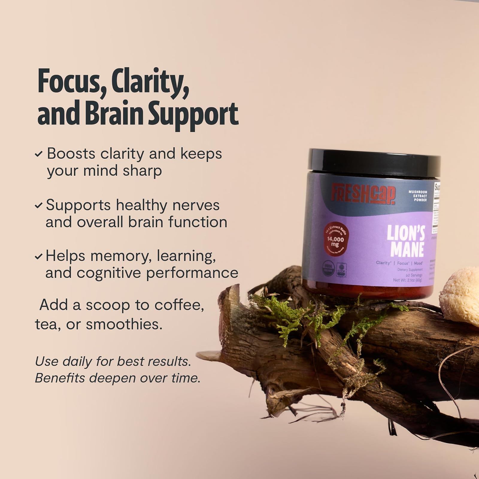 lion's mane powder for energy boost
