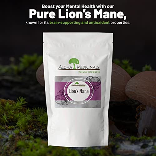 lion's mane powder for focus