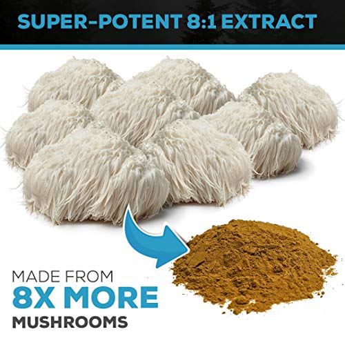 lion's mane powder for mental clarity