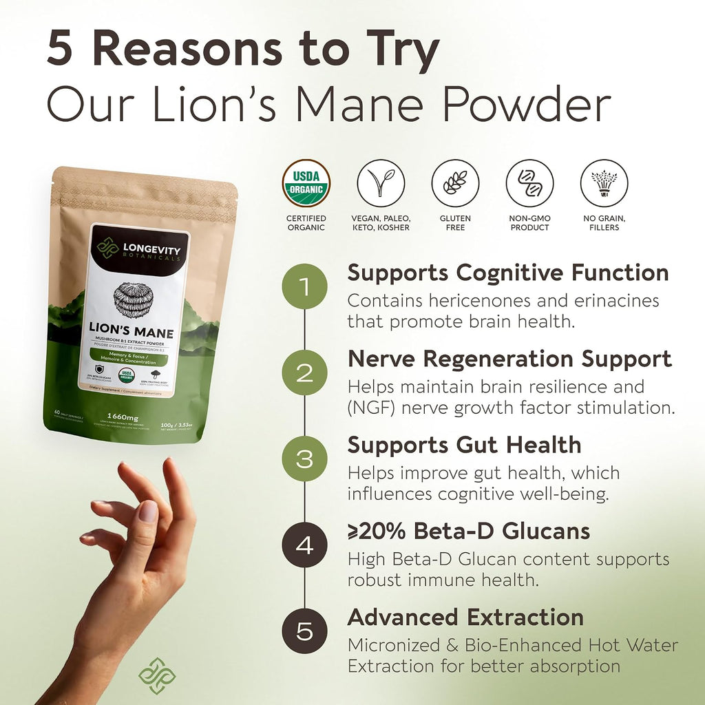 lion's mane powder for natural energy