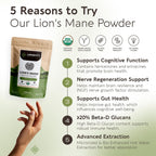 lion's mane powder for natural energy