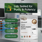 lion's mane powder for natural energy