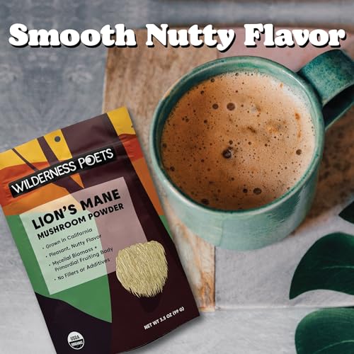 lion's mane powder for natural energy