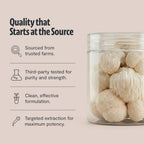 lion's mane powder for stress relief