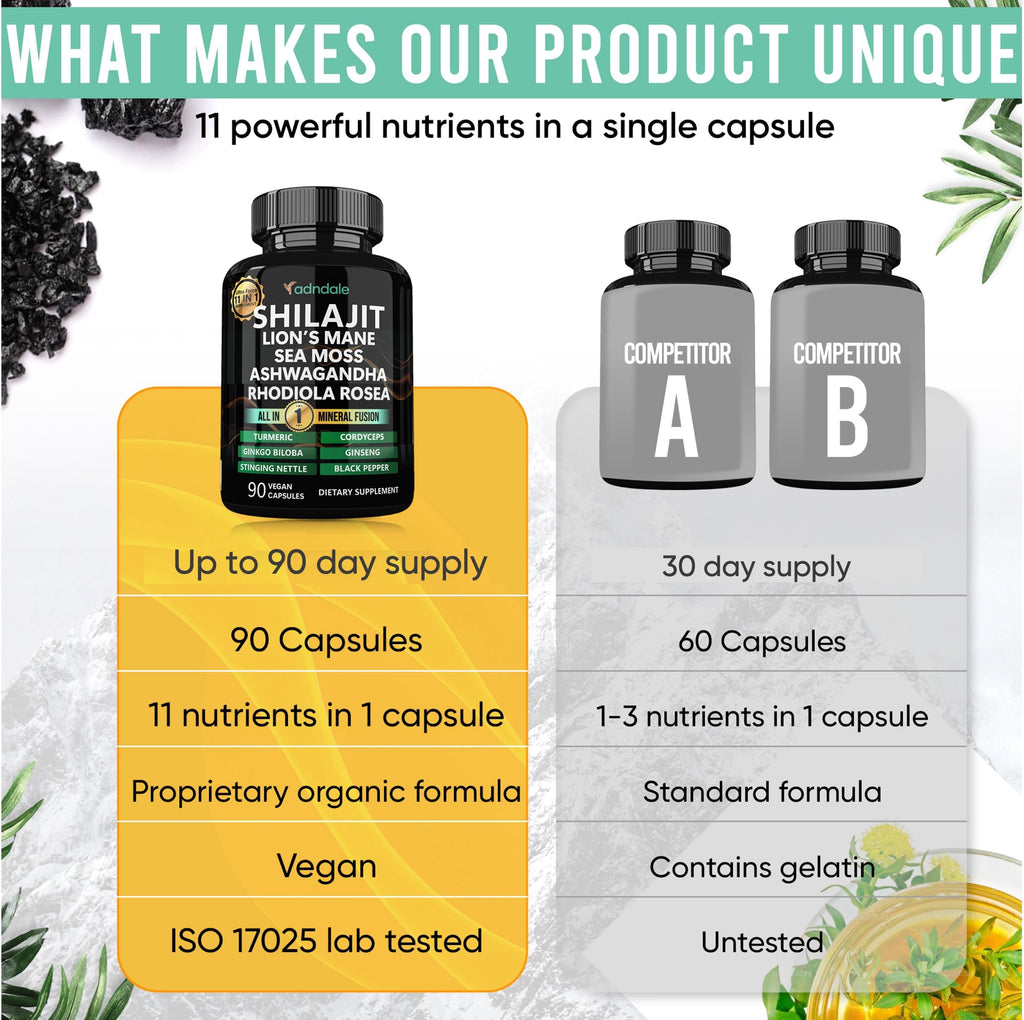 lion’s mane shilajit for cognitive support