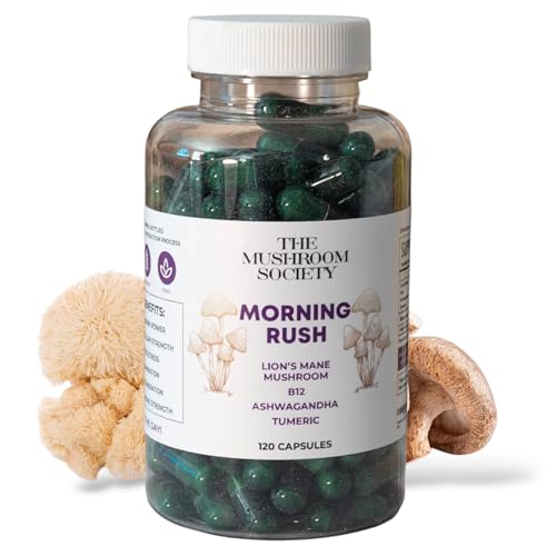 lion's mane supplement for energy