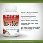 Lion's Mane supplement for enhanced focus