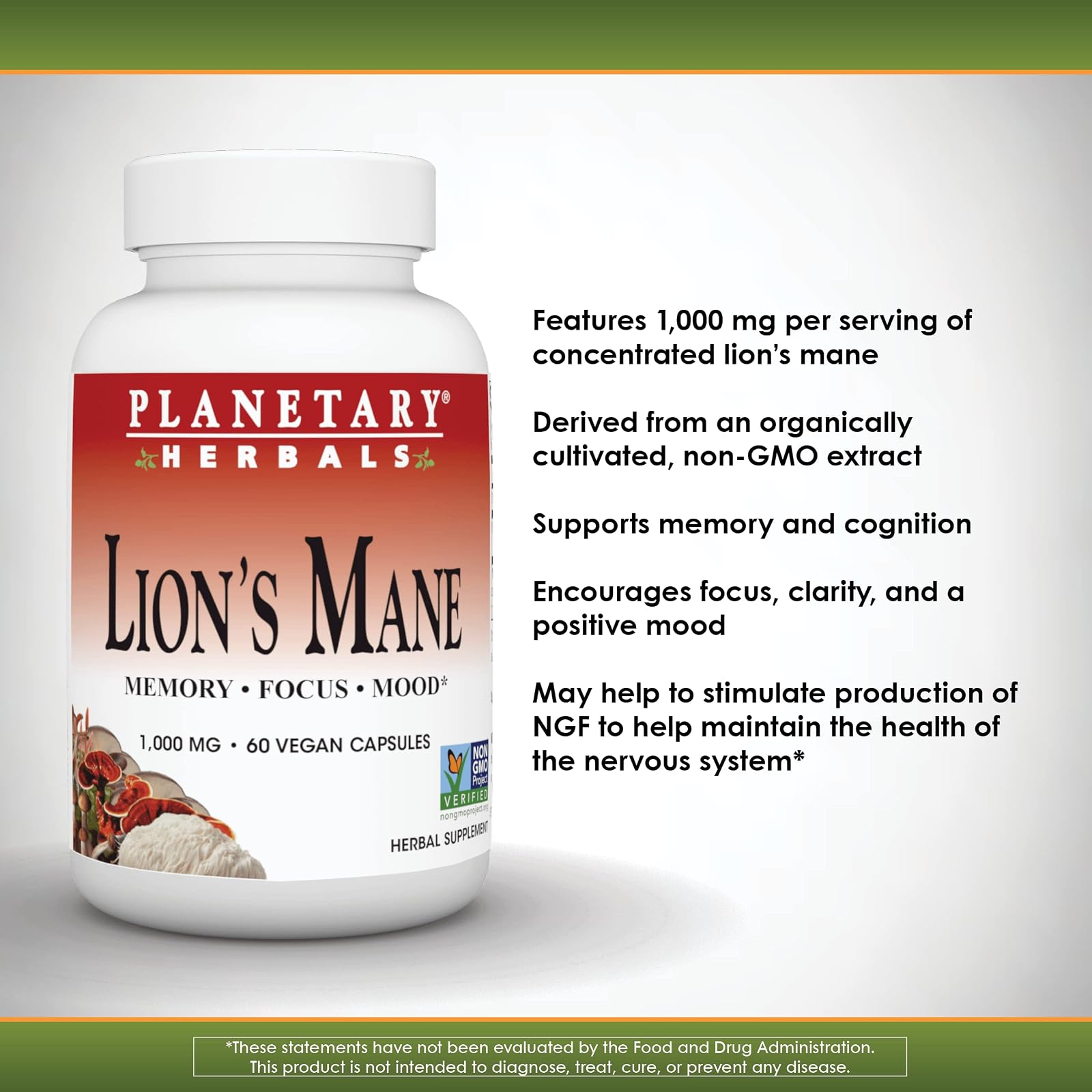 Lion's Mane supplement for enhanced focus