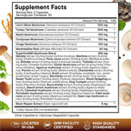 lion's mane supplement for focus