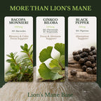 Lion's Mane supplement for memory
