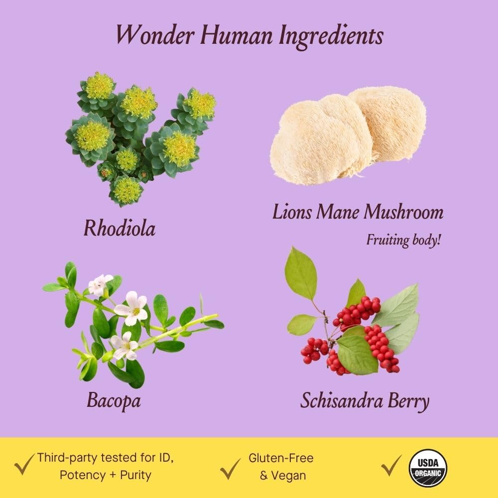 lion's mane supplements for cognitive support
