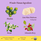 lion's mane supplements for cognitive support