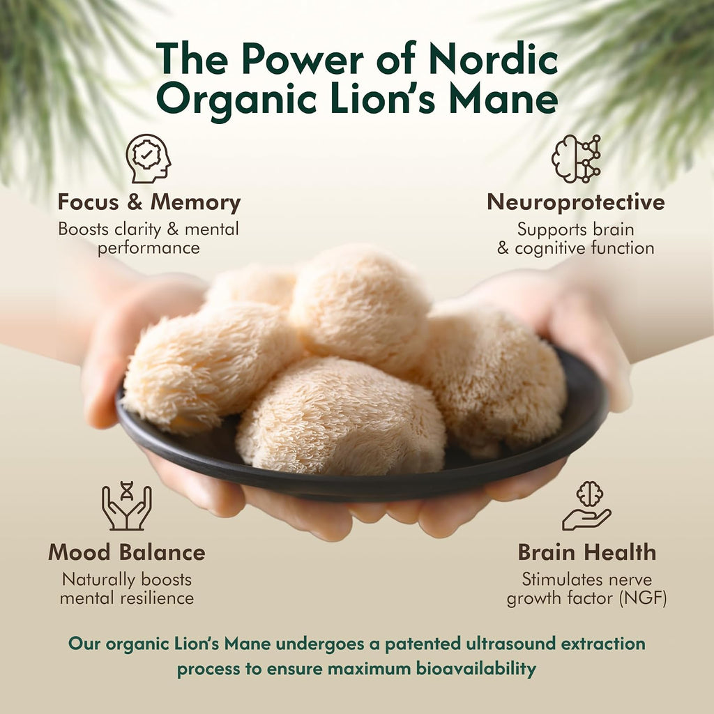 Lion's Mane tincture boosts brain health