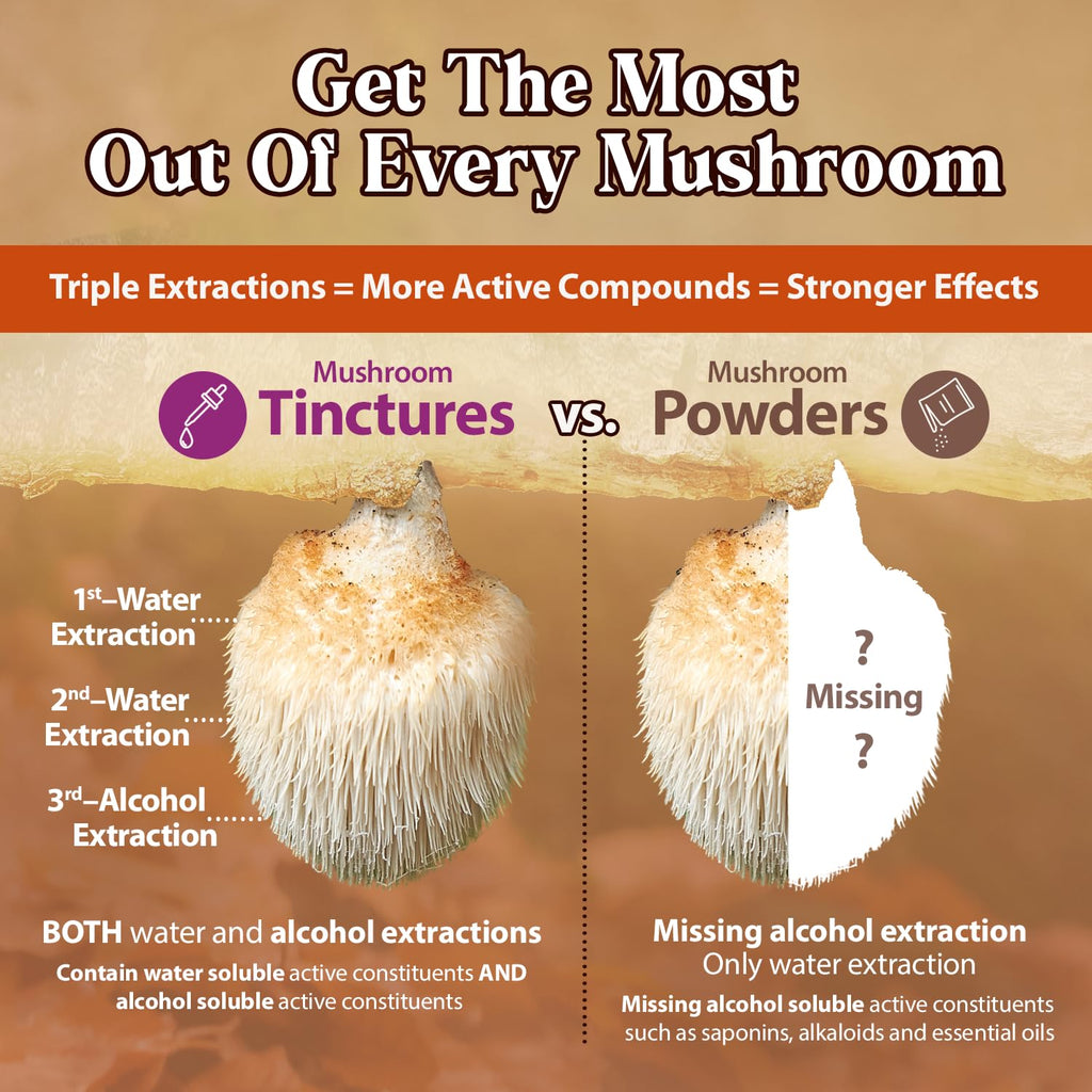 Lion's Mane tincture for daily vitality