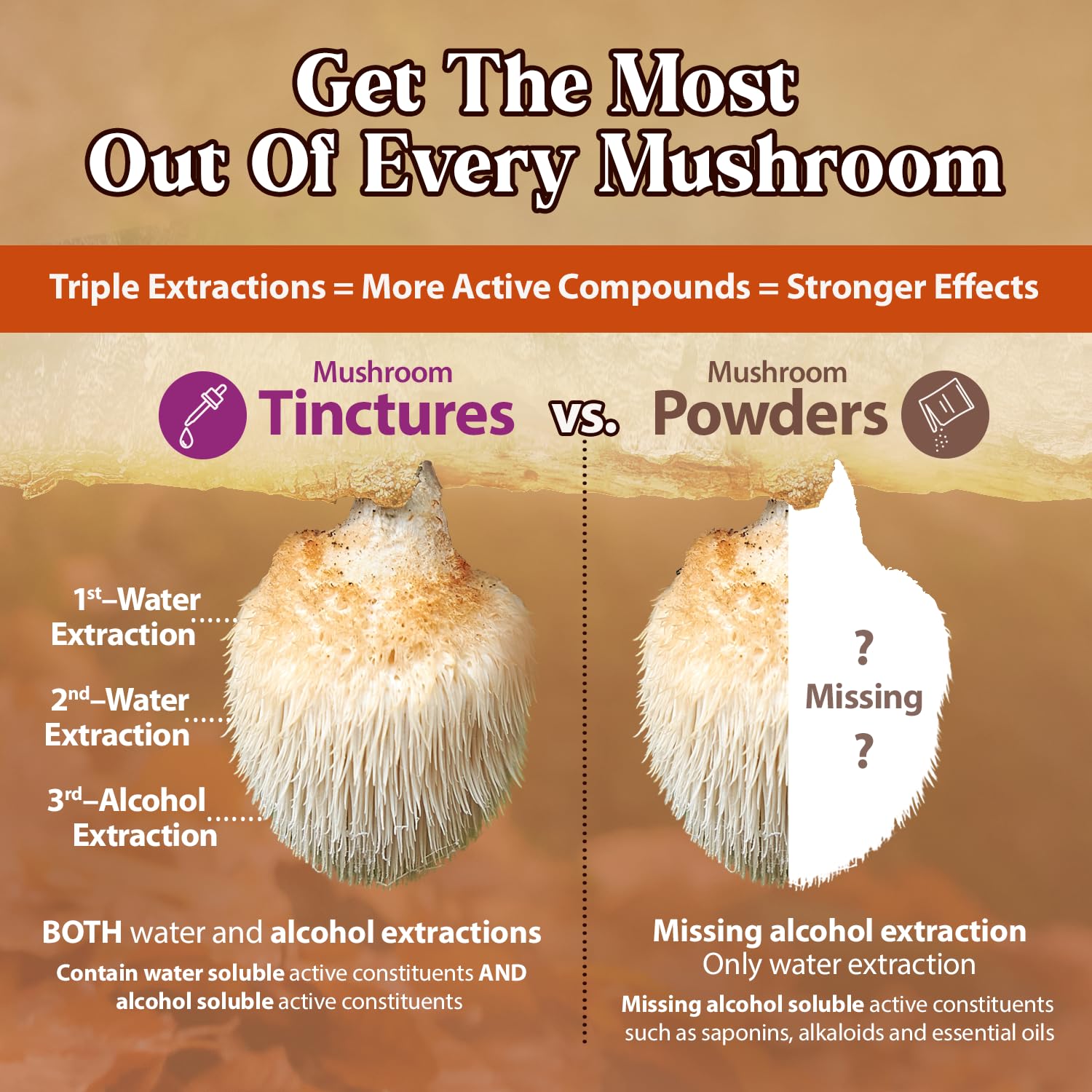 Lion's Mane tincture for daily vitality