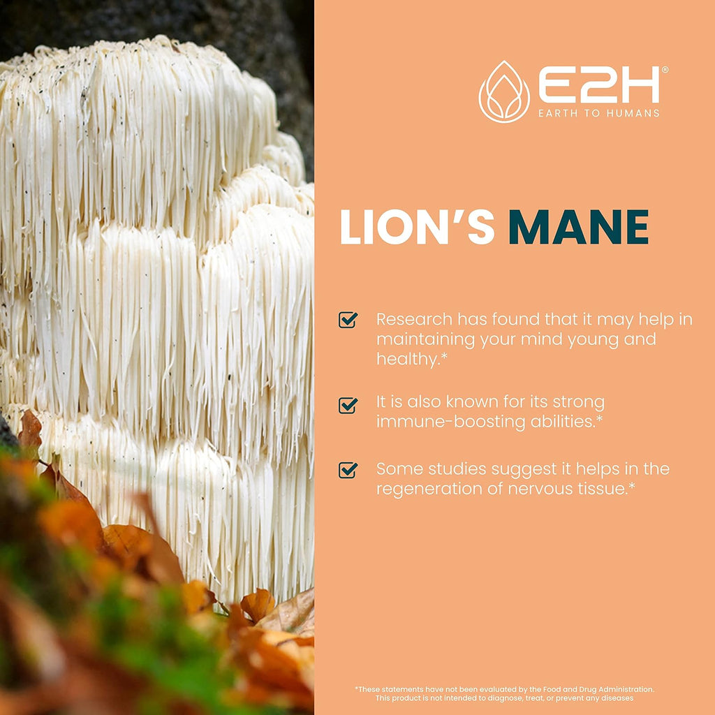 lion's mane tincture for focus