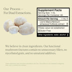 lion's mane tincture for focus