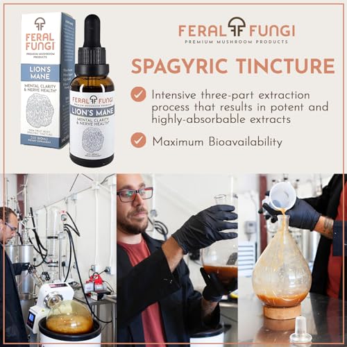 Lion's Mane tincture made in Canada