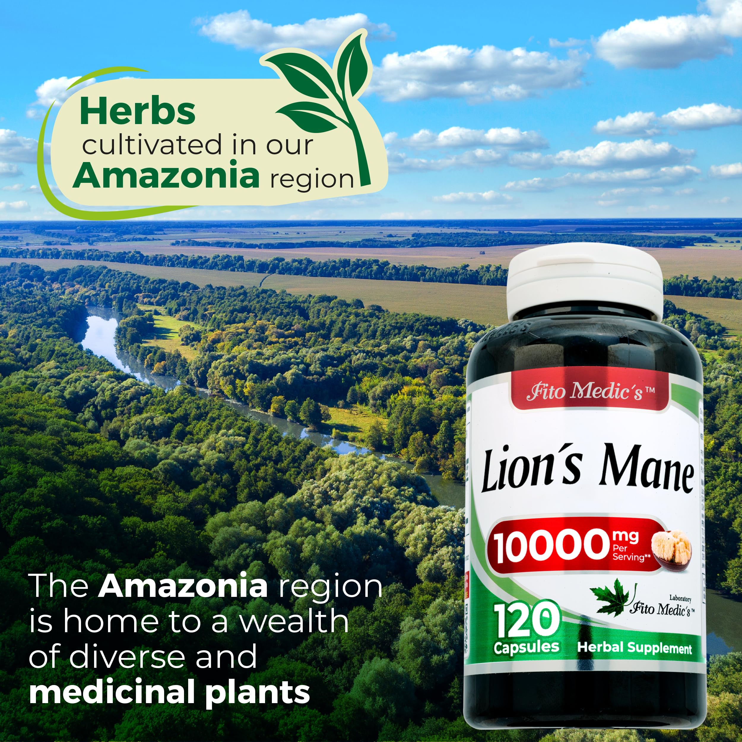 Lions Mane capsules for better concentration