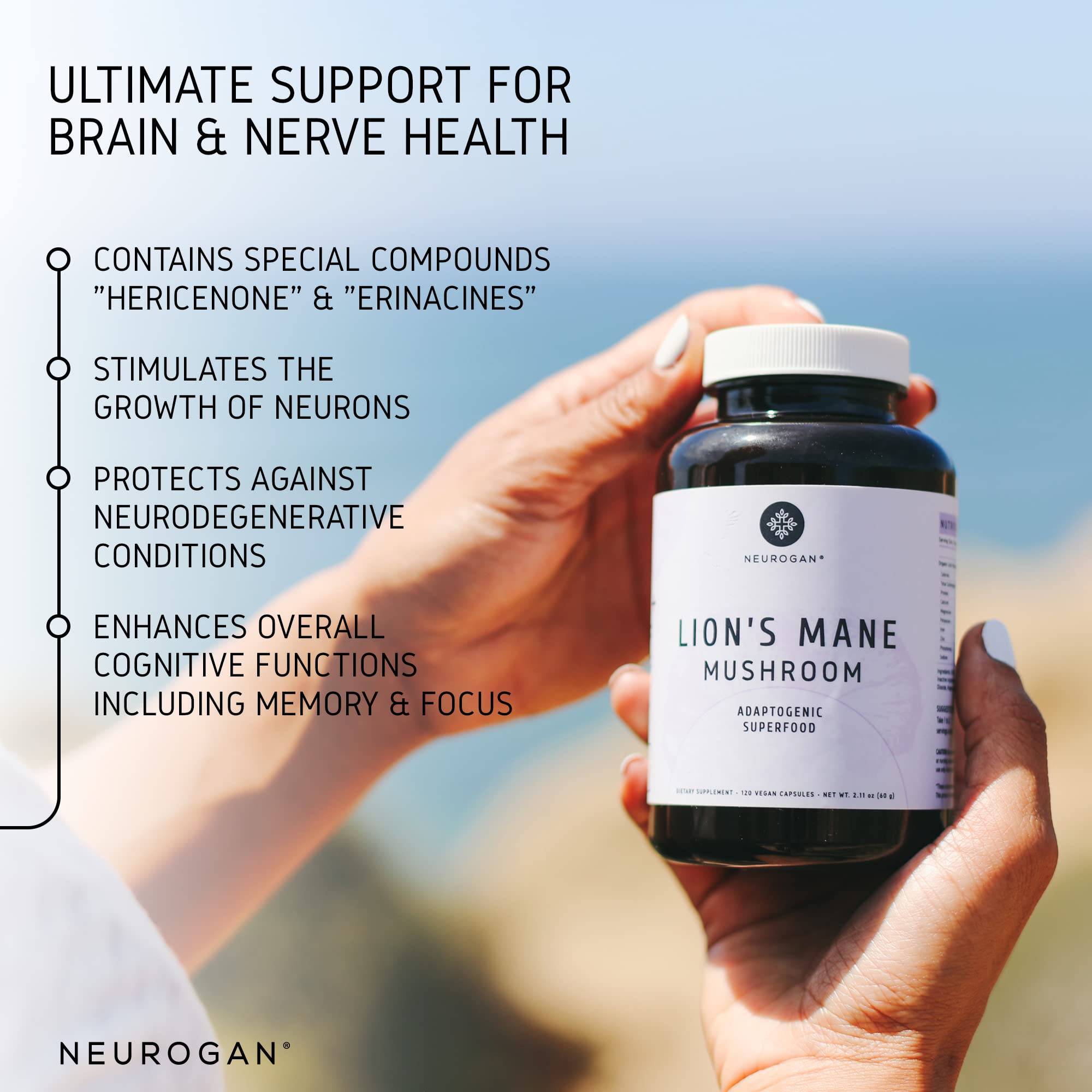 Lions Mane capsules for mental clarity