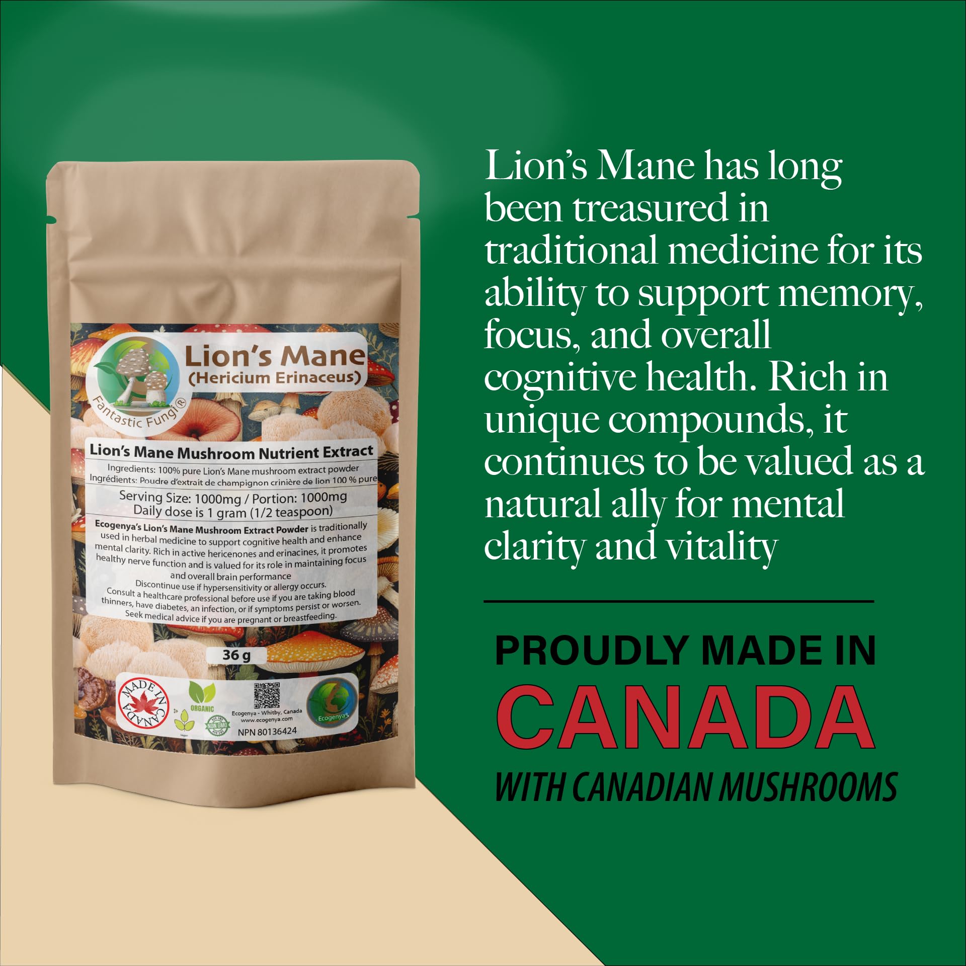 Lions Mane extract for brain health