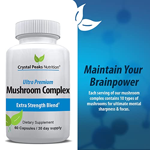 Lions Mane for cognitive support