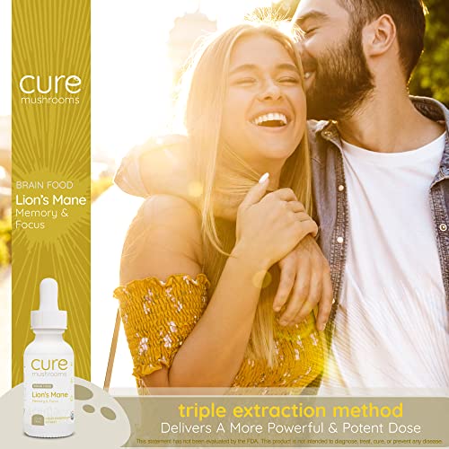 lions mane for improved concentration