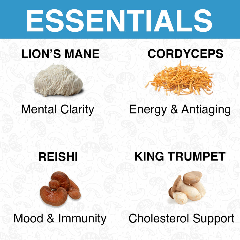 Lions Mane for mental clarity