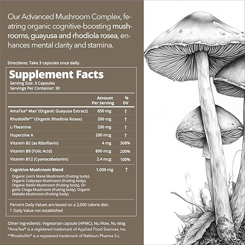 Lions Mane for mental performance
