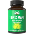 Lions Mane mushroom capsules for focus