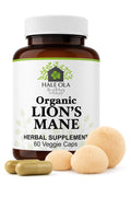 Lions Mane mushroom capsules for memory