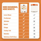 lions mane mushroom cognitive boost