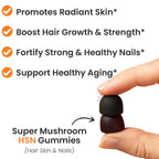 lions mane mushroom cognitive boost