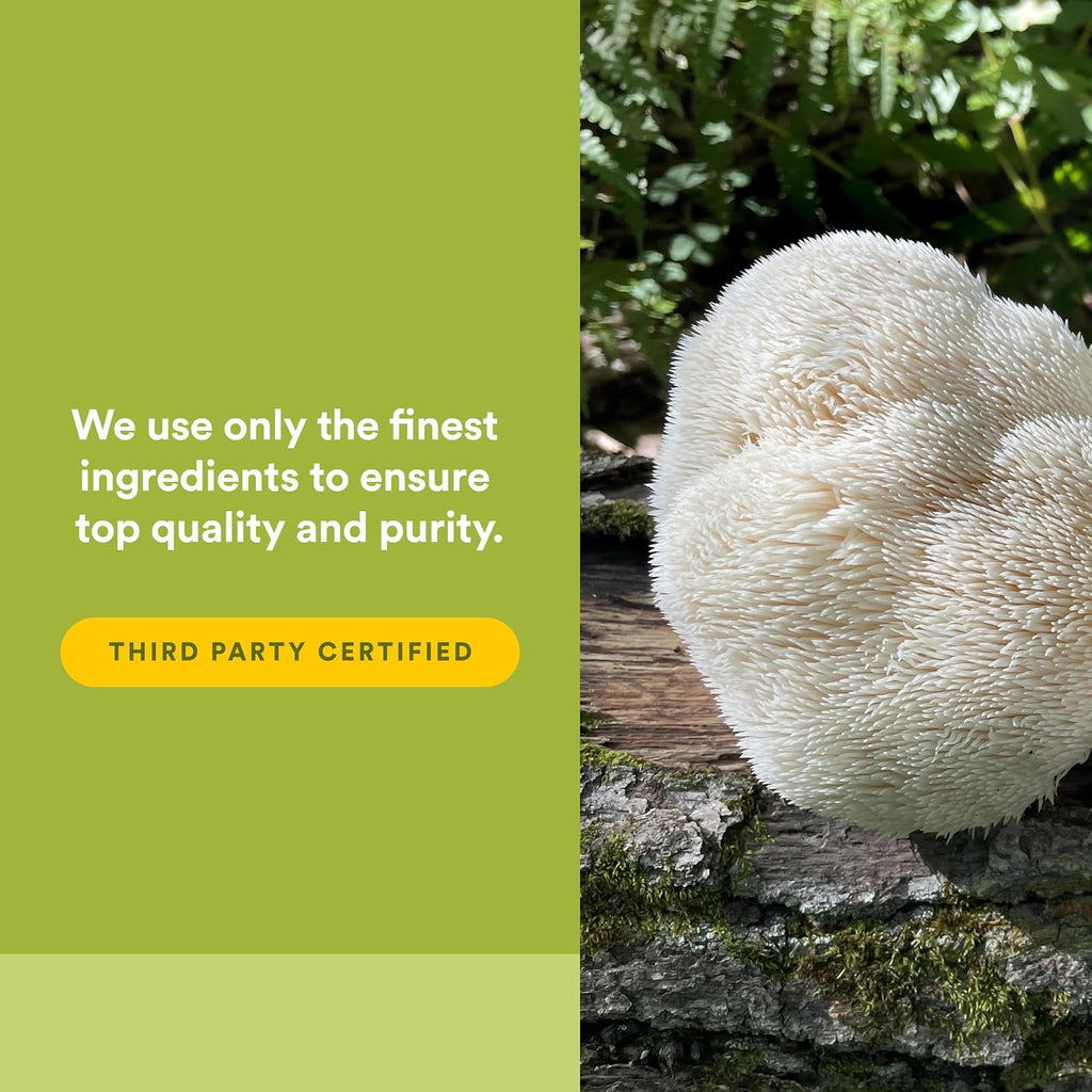 lions mane mushroom cognitive boost