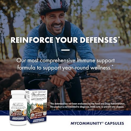 lions mane mushroom cognitive boost