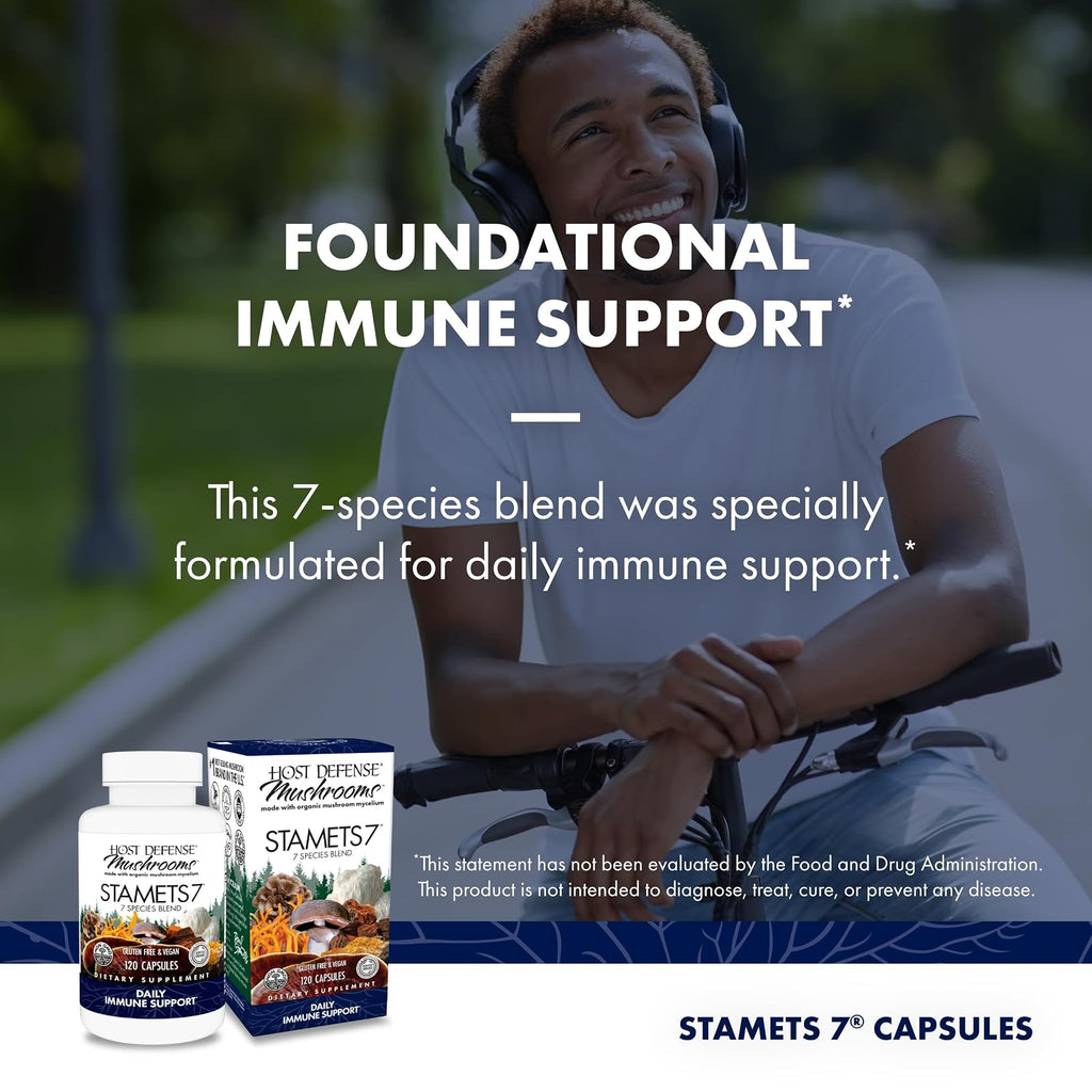 lions mane mushroom cognitive boost