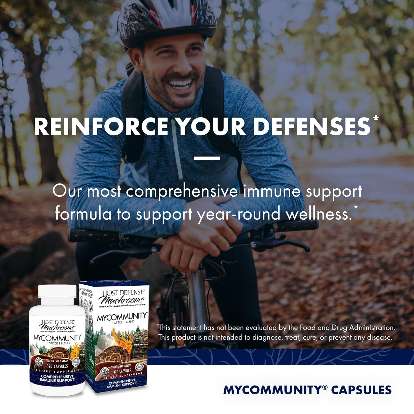 lions mane mushroom cognitive boost
