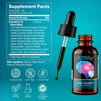 lions mane mushroom cognitive booster