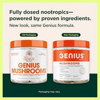 lions mane mushroom cognitive support